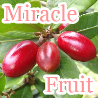 Miracle Berry Fruit Tablets Make Sour Things Taste Sweet | Slism